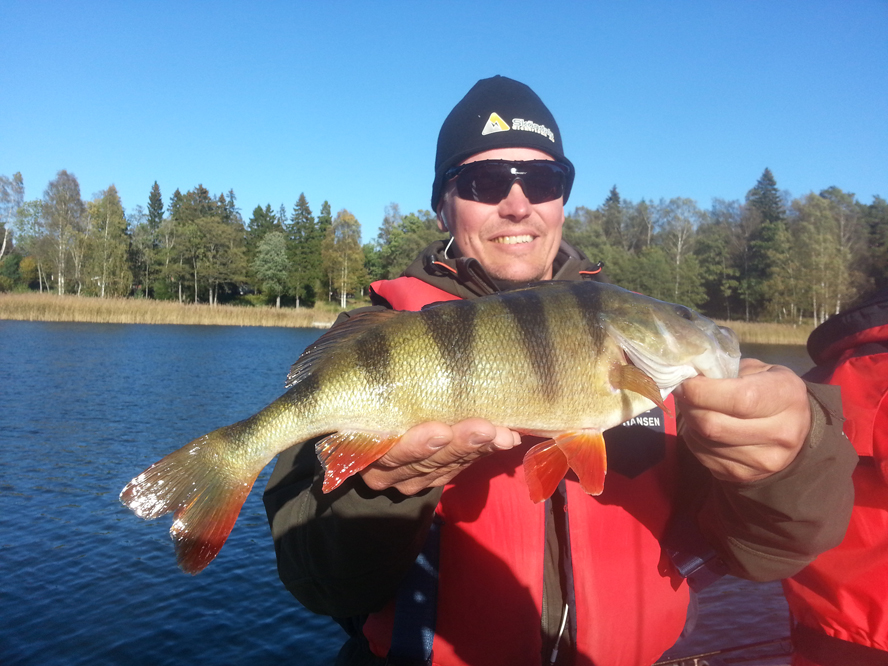 30/9 Bra fiske! Abborrar, gäddor, gösar & brax! | Fishguide.se