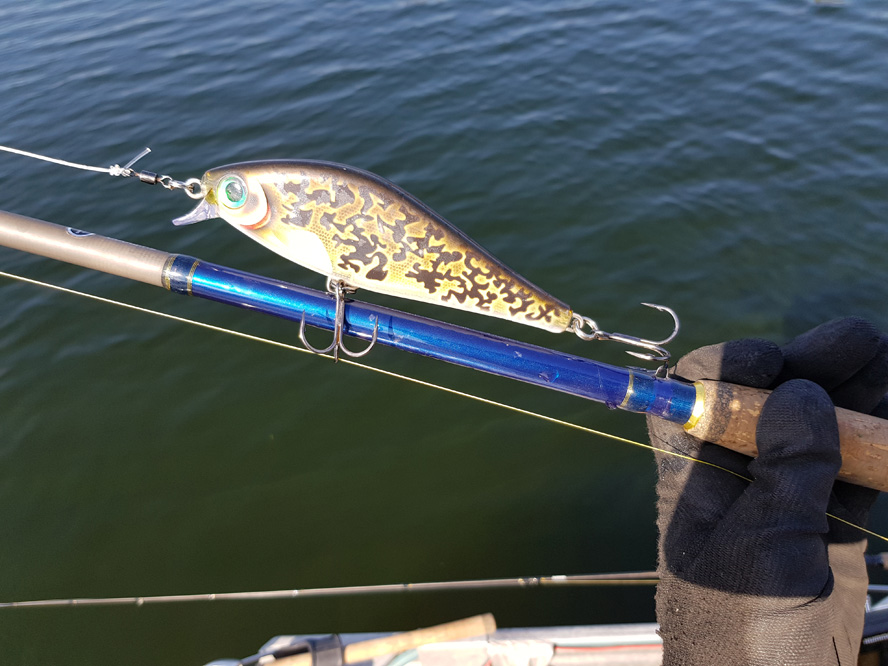 Gäddrally och abborre på jigg | Fishguide.se