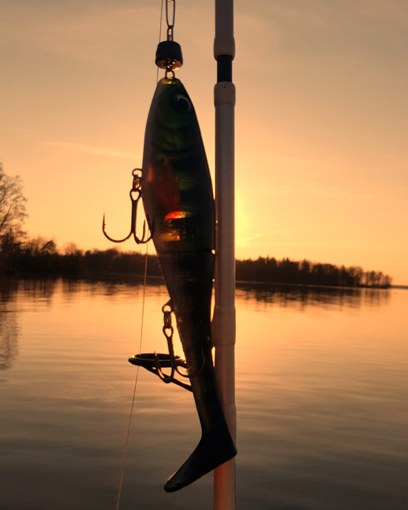 Gäddrally och abborre på jigg | Fishguide.se